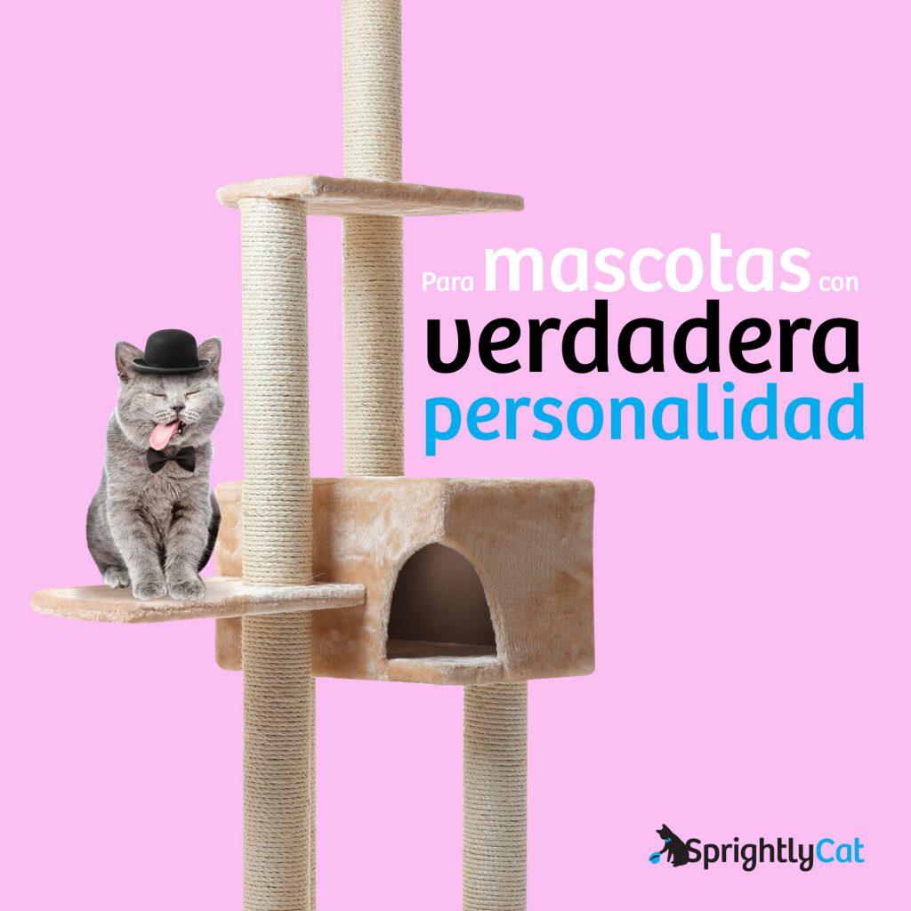 Nessie's Loch – Agencia Creativa